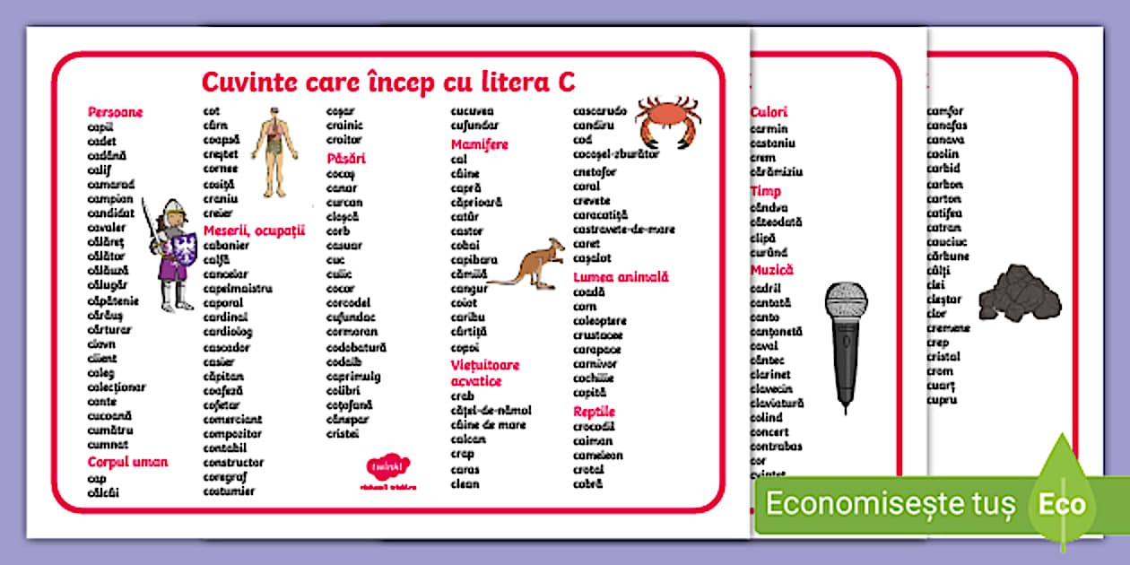 Litera C – Cuvinte utile (Teacher-Made) - Twinkl
