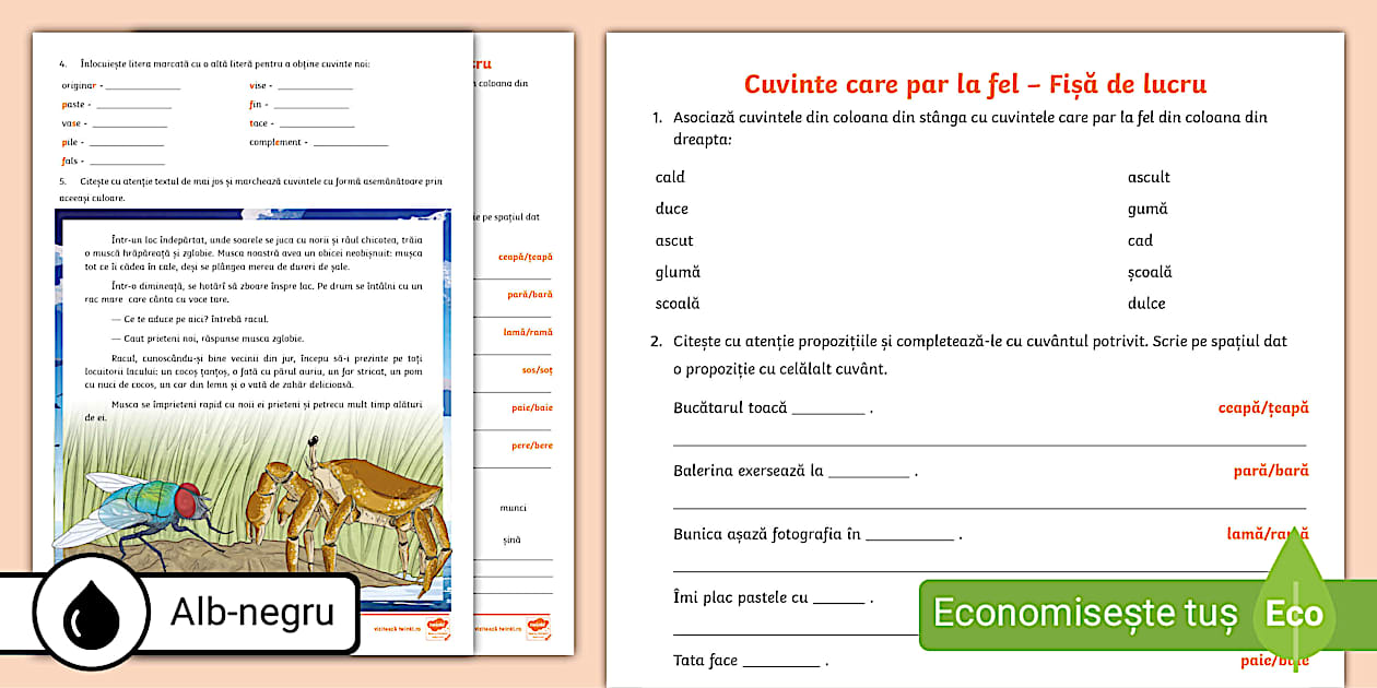 Paronimele – Fișă de lucru 9-12 ani, clasa 3/ clasa 4