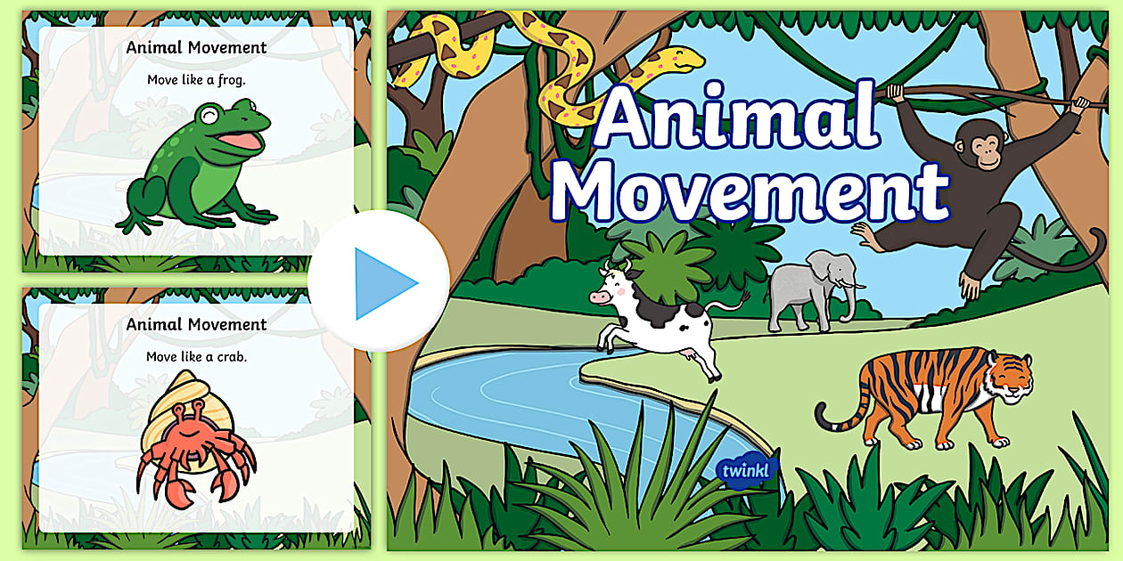 Animal Movement Activity PowerPoint Pack (teacher made)