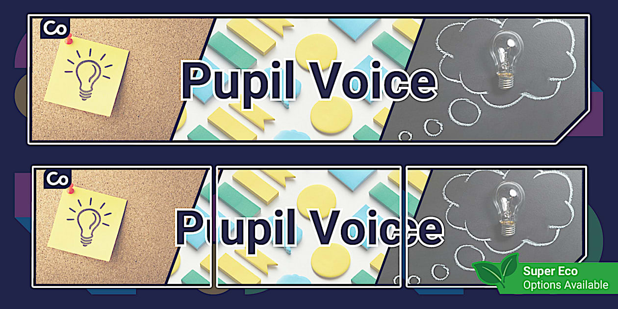 Whole School Display: Pupil Voice Banner (Teacher-Made)