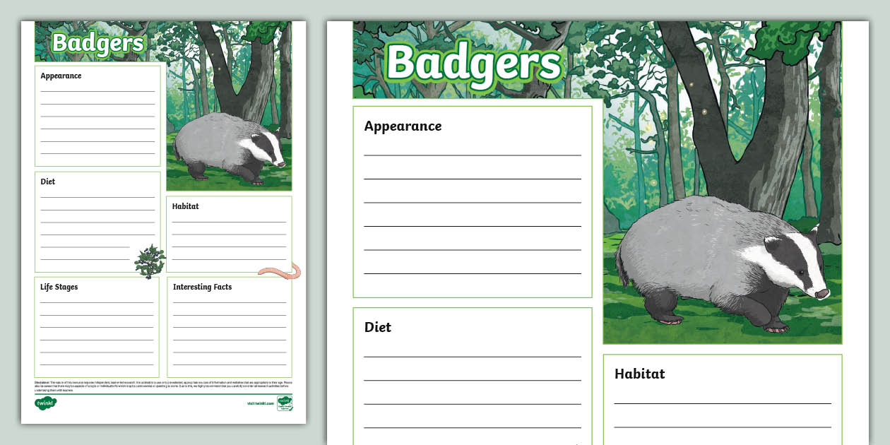 Badger Fact File Template (teacher made) - Twinkl