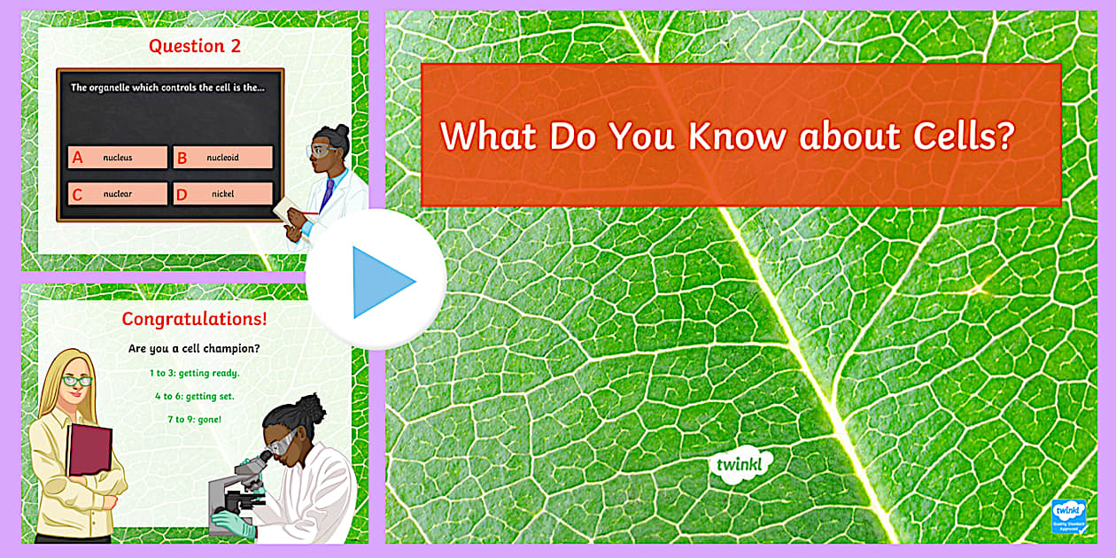 Cells Quiz PowerPoint | Twinkl (teacher made) - Twinkl