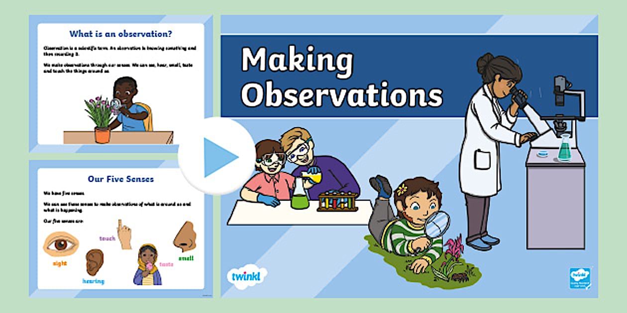 Making Observations Inclusion PowerPoint (teacher made)