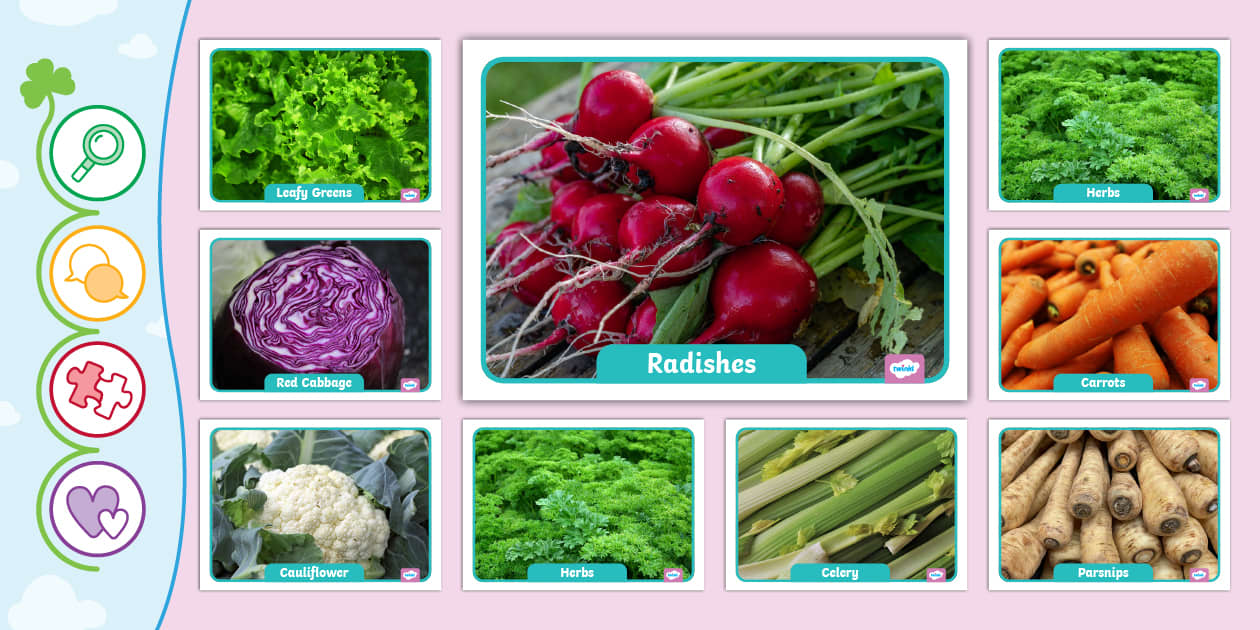 Food Rabbits Eat Display Photos (teacher made) - Twinkl