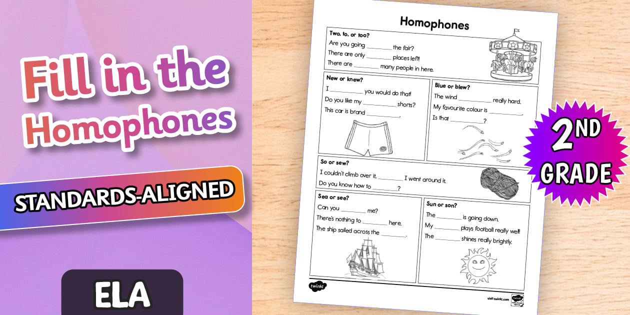 Second Grade Fill in the Homophones Worksheet (Teacher-Made)