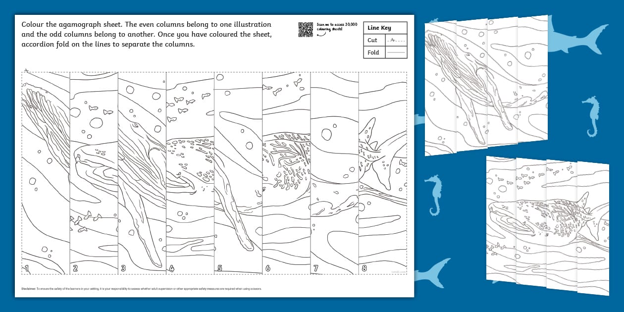 Whale Colouring Agamograph - Twinkl Colouring (teacher made)