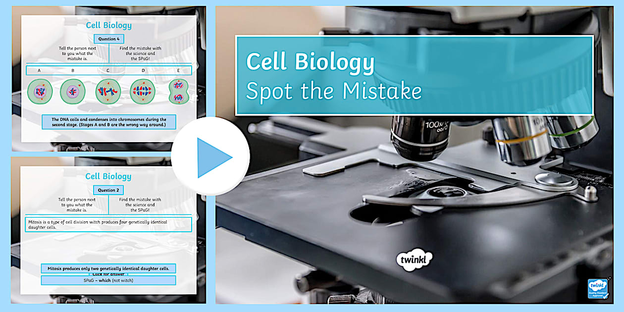 Mitosis vs Meiosis Activity PowerPoint | Biology | KS3/ KS4