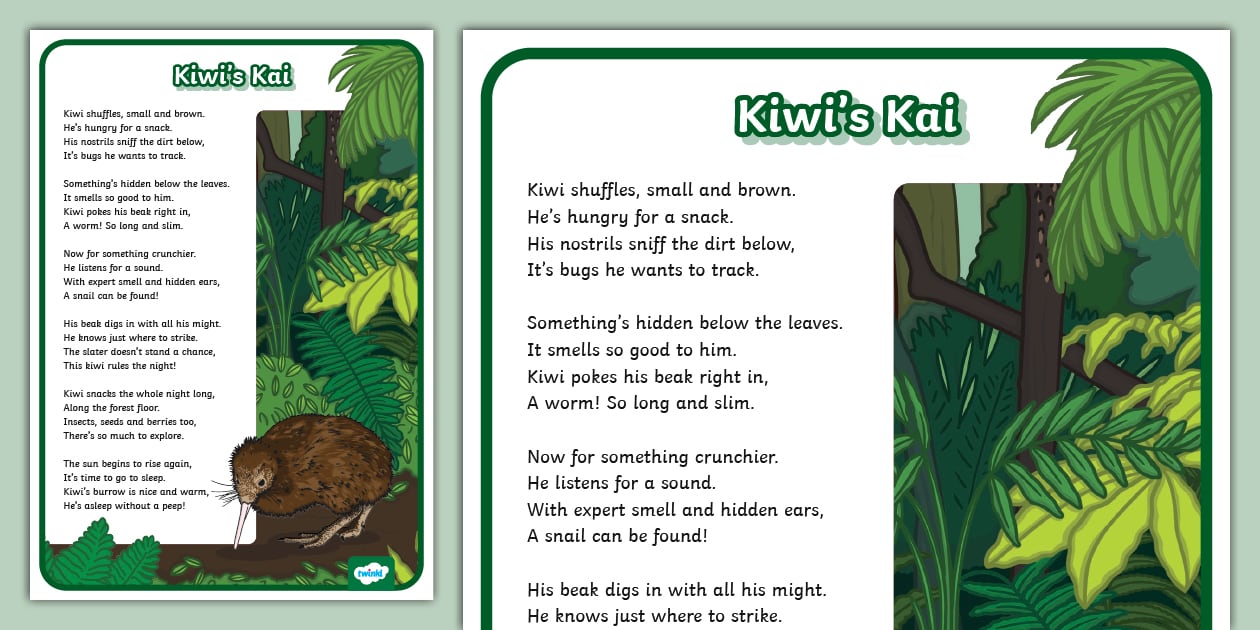 Kiwi's Kai (teacher made) - Twinkl