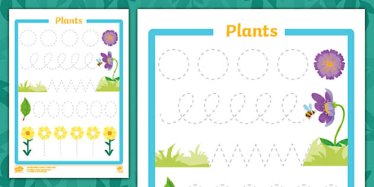 Plants Pencil Control Sheet (teacher made) - Twinkl