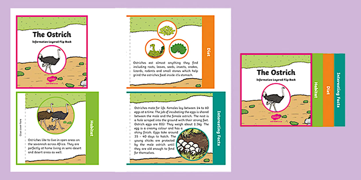 Ostrich Information Layered Flip Booklet (teacher made)