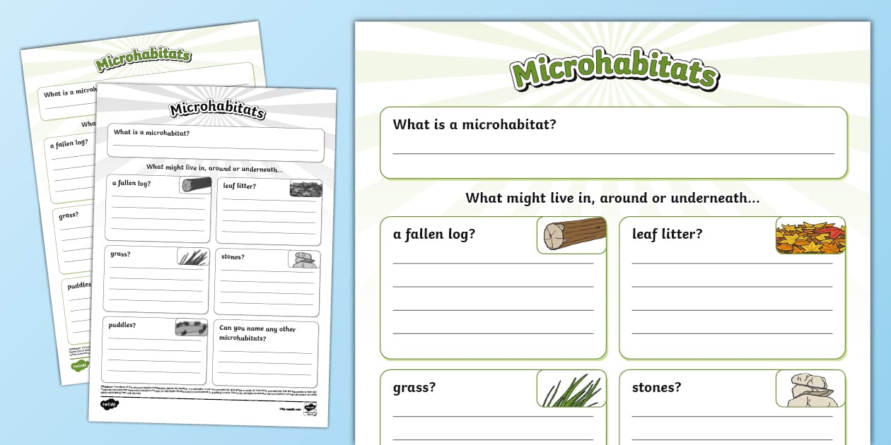 Microhabitats Fact File Template - Twinkl Science - Twinkl