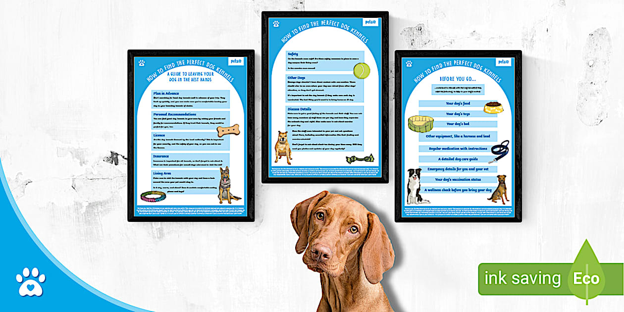 How to Find The Perfect Dog Kennels - Information Sheet