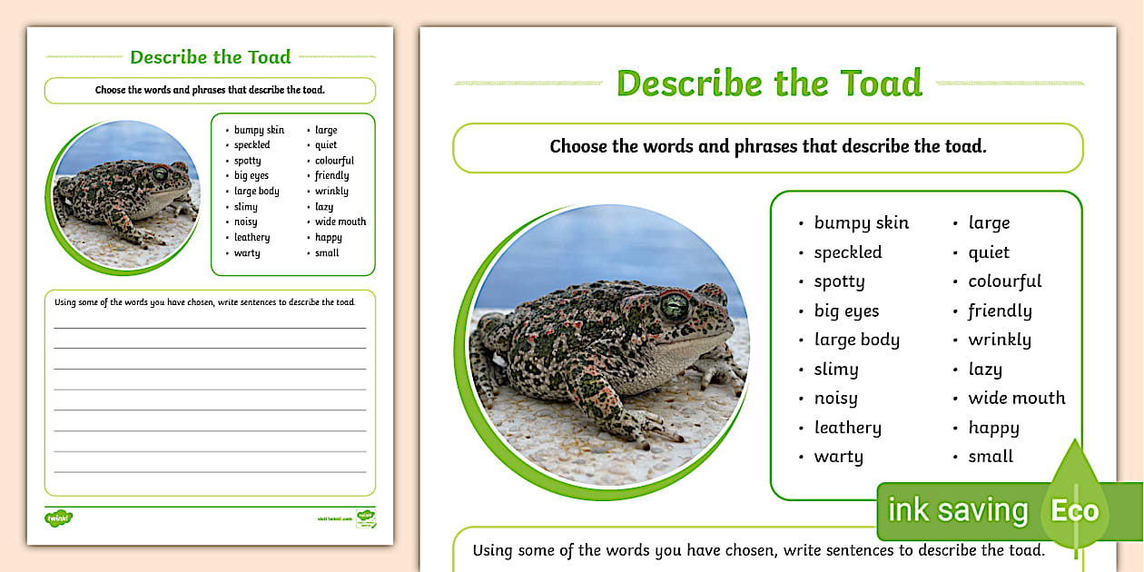 Describe the Toad Writing Activity (teacher made) - Twinkl