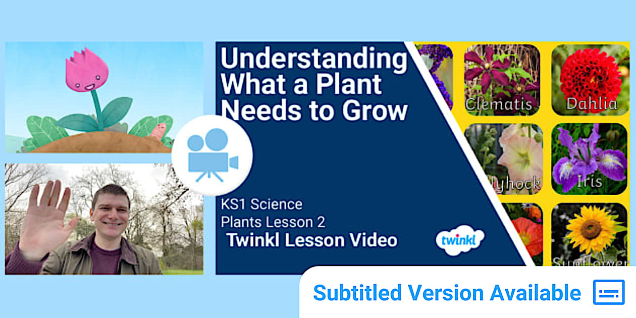 KS1 (Ages 5-7) Science: What Plants Need to Grow Video Lesson