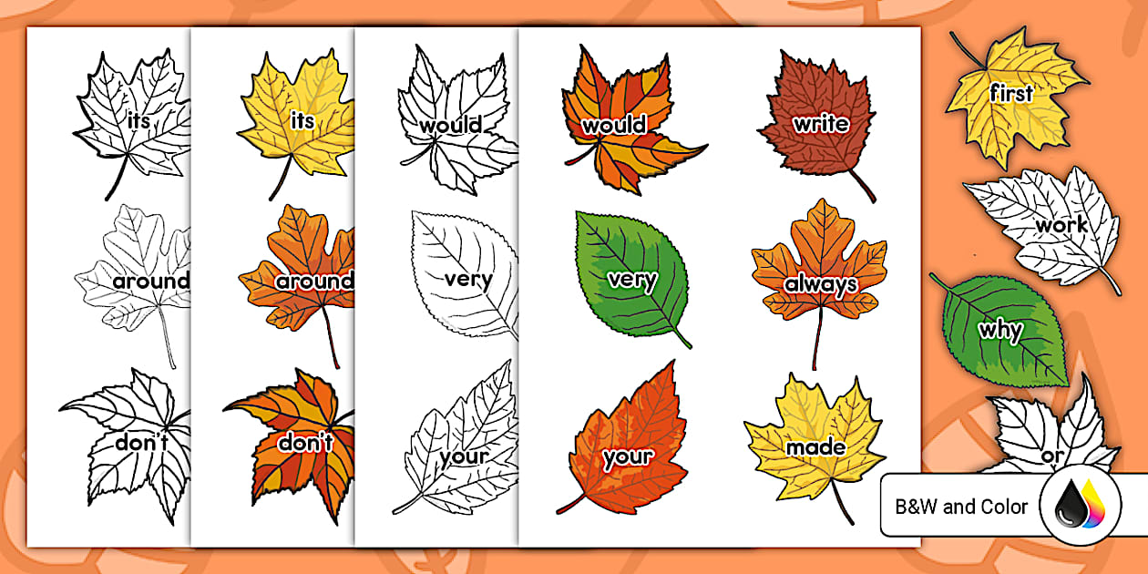 Fall Sight Words | Second Grade Resource | Twinkl USA