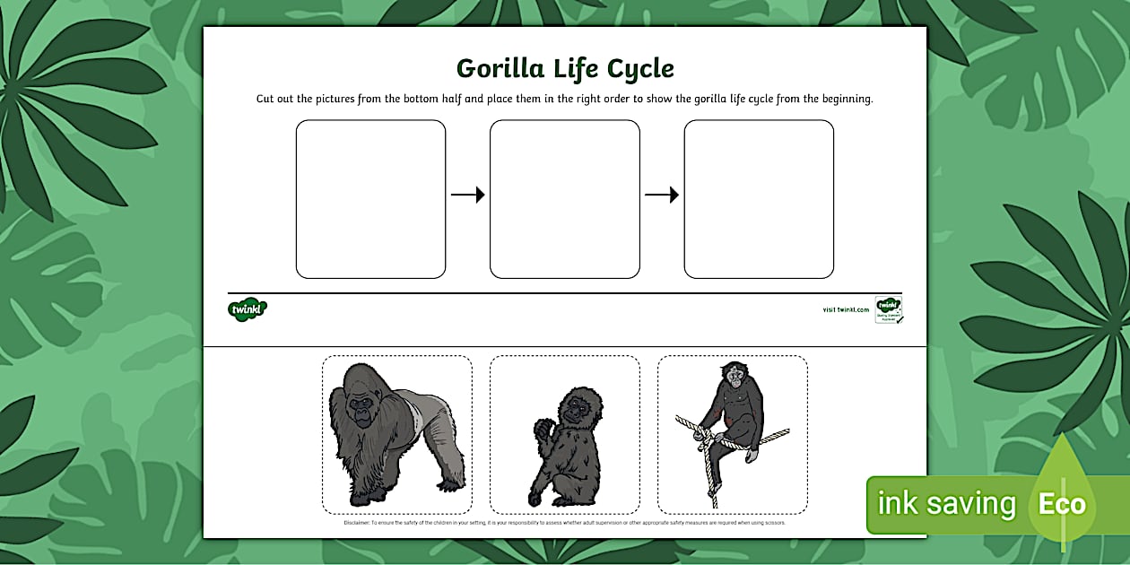 A Life Cycle of a Gorilla Activity Sheet - Twinkl