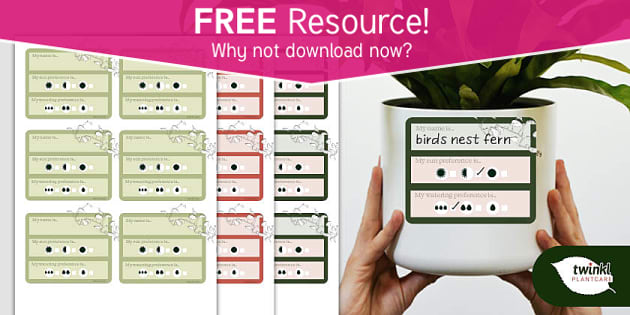 FREE! - Printable Plant Info Labels (teacher made) - Twinkl