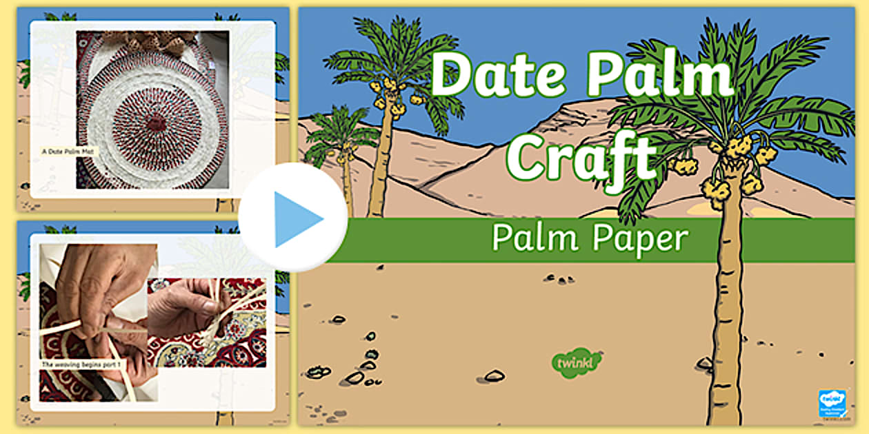 Date Palm Craft – Palm Paper (Hecho por educadores)