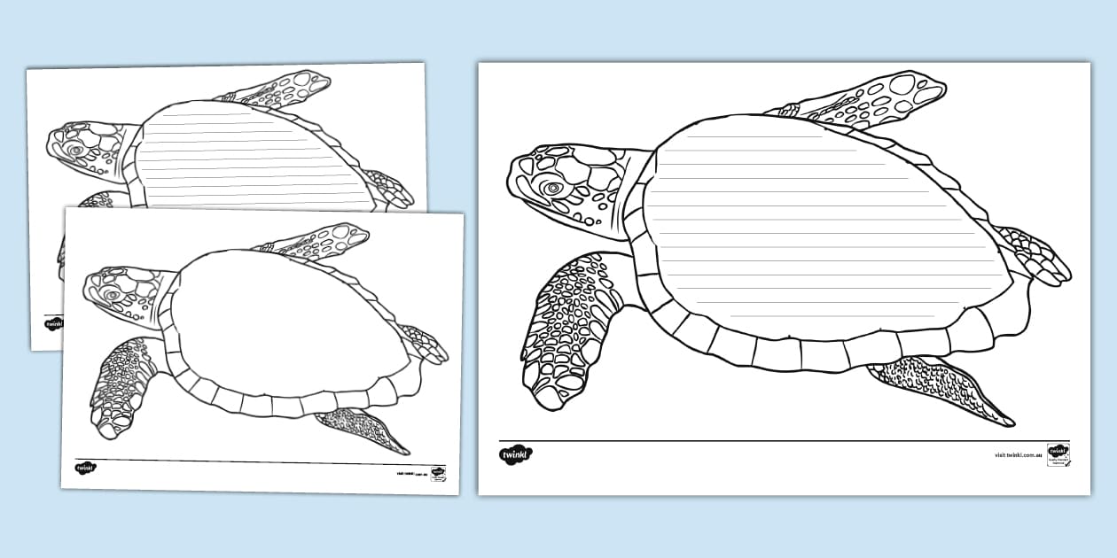 Sea Turtle Writing Template - Twinkl Writing - Twinkl