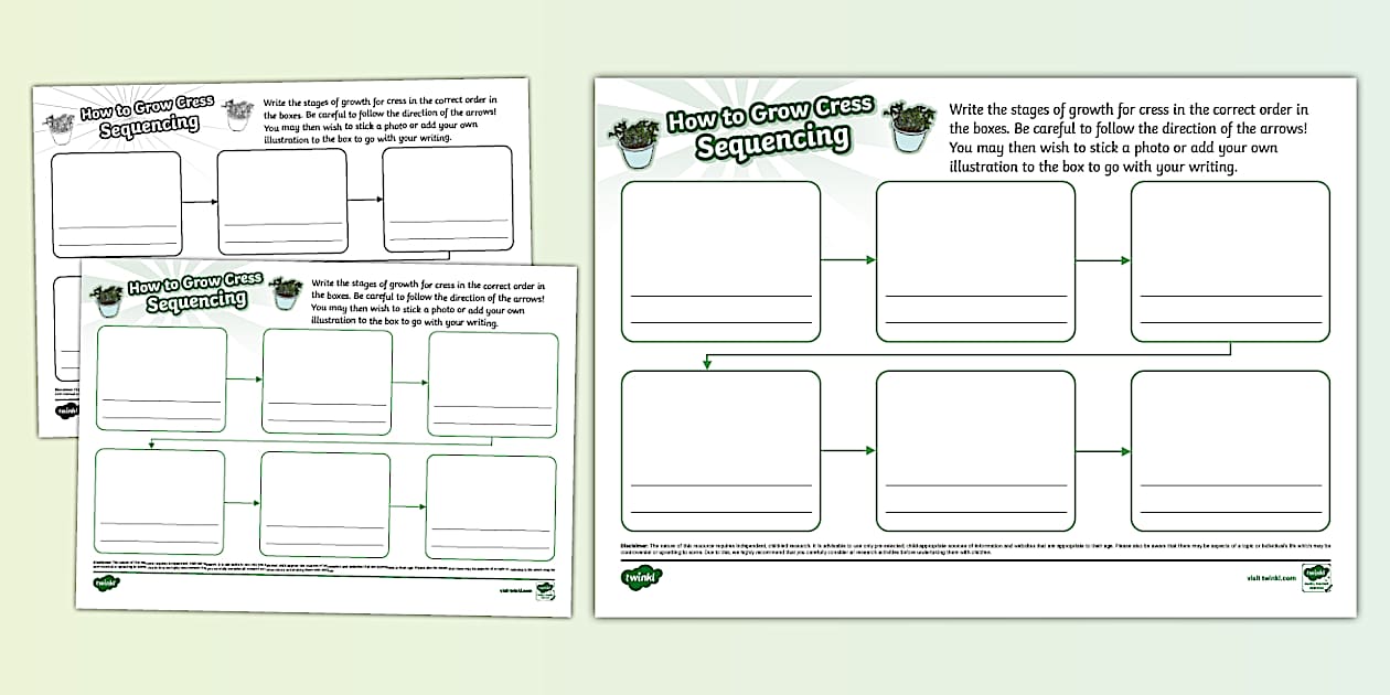 How to Grow Cress Sequencing Mind Map (teacher made)