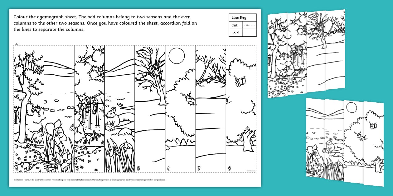 The Four Seasons Agamograph (teacher made) - Twinkl
