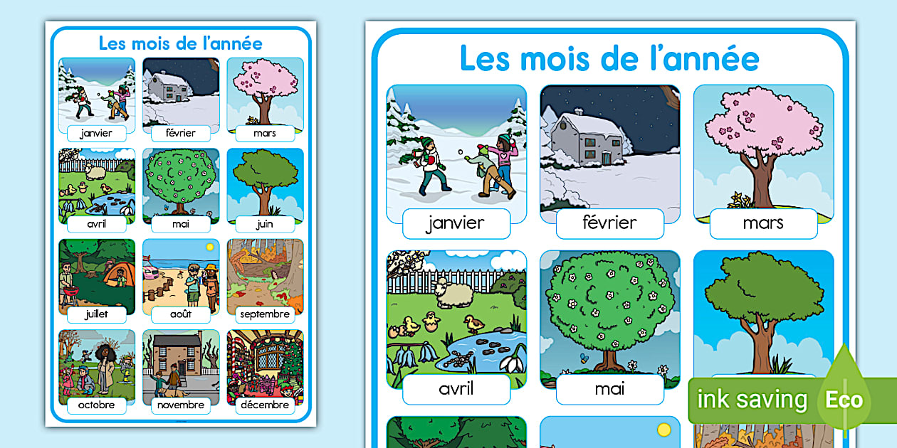 Affiches : Les mois de l’année (teacher made) - Twinkl