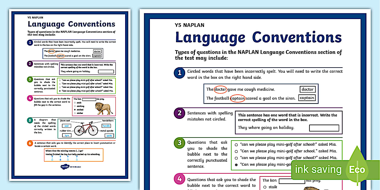 Y5 NAPLAN Language Conventions Display Poster (teacher made)