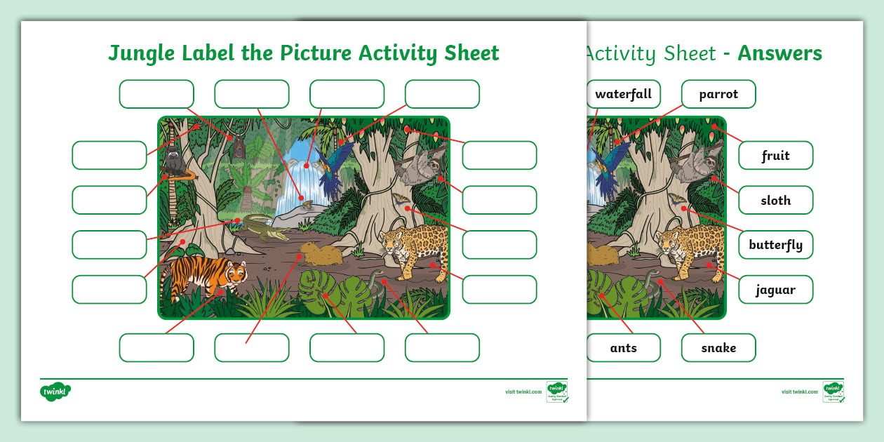 Jungle Label the Picture Activity Sheet (Teacher-Made)