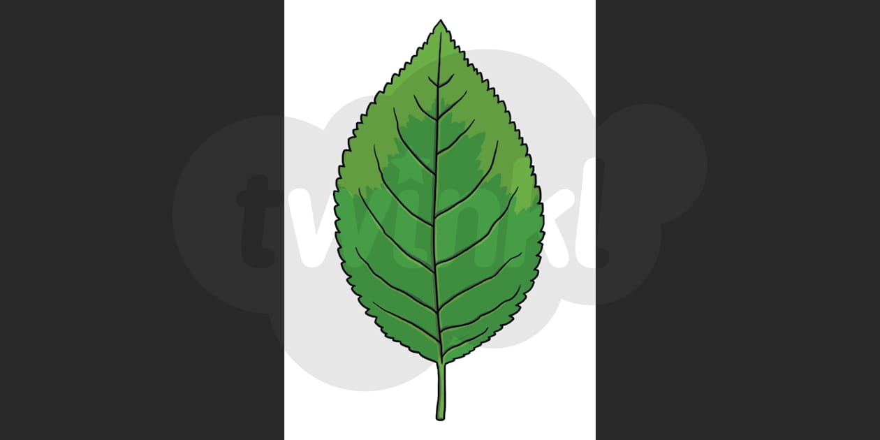 leaf template to print