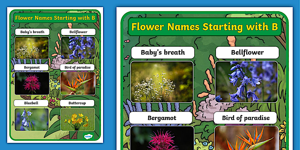 Flower Names Starting with B Display Poster
