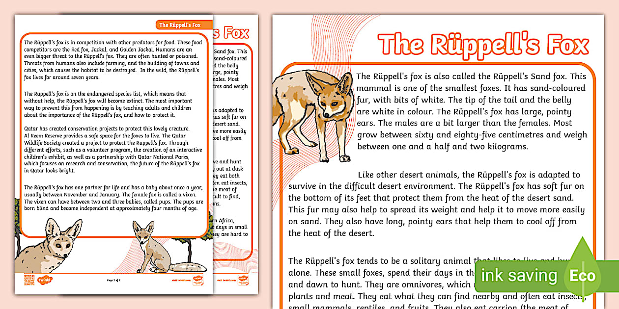Rüppell's Fox Fact File (teacher made) - Twinkl