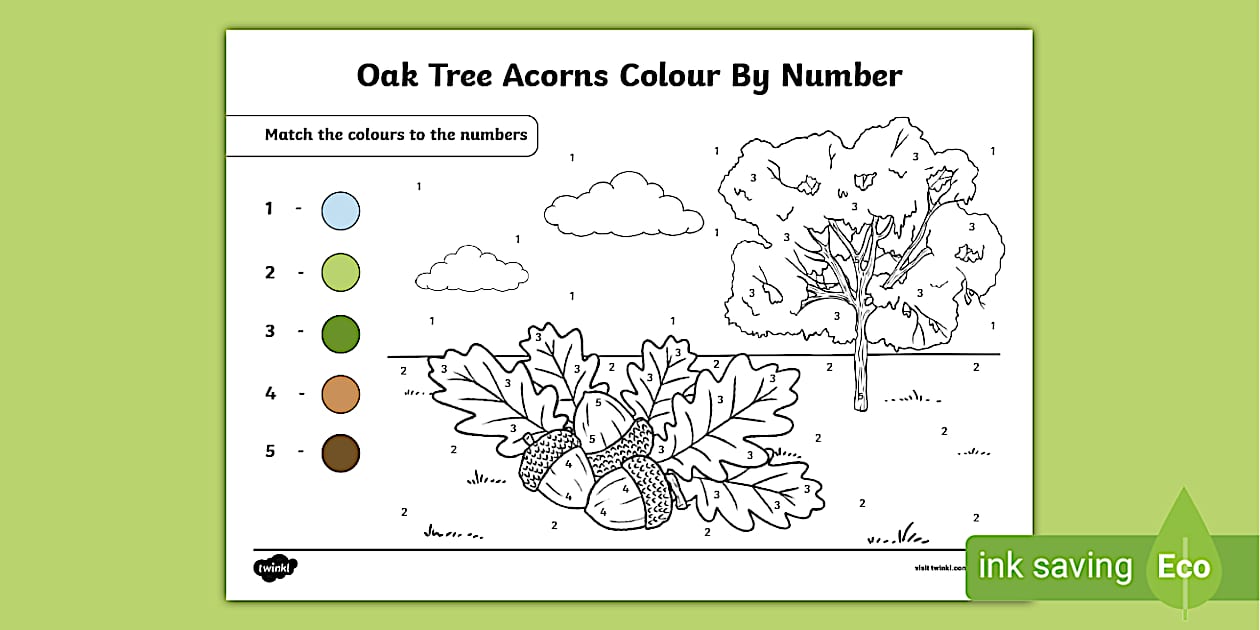 Oak Tree Acorns Colour by Number (Hecho por educadores)