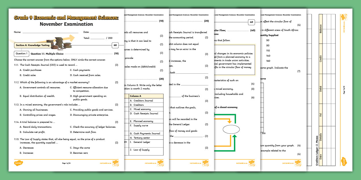 Grade 9 Economic and Management Sciences Exam November