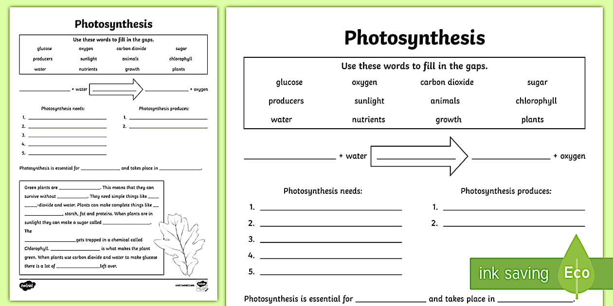 Photosynthesis Worksheet - Science - KS2 - Twinkl