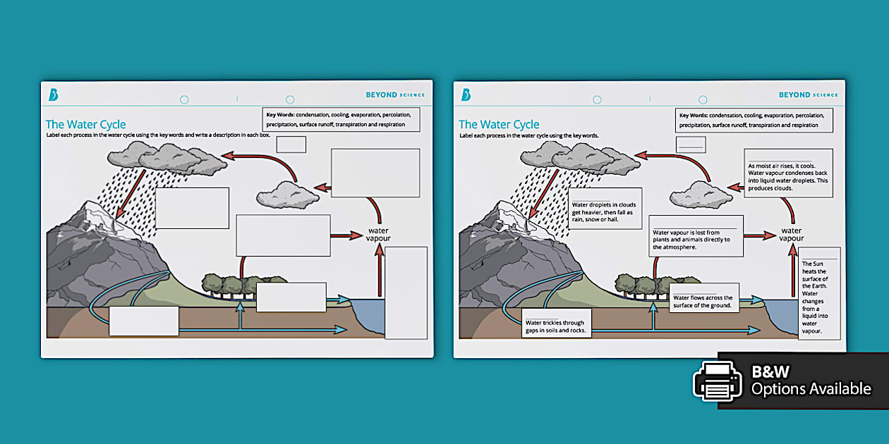 The Water Cycle Worksheet (teacher made) - Twinkl