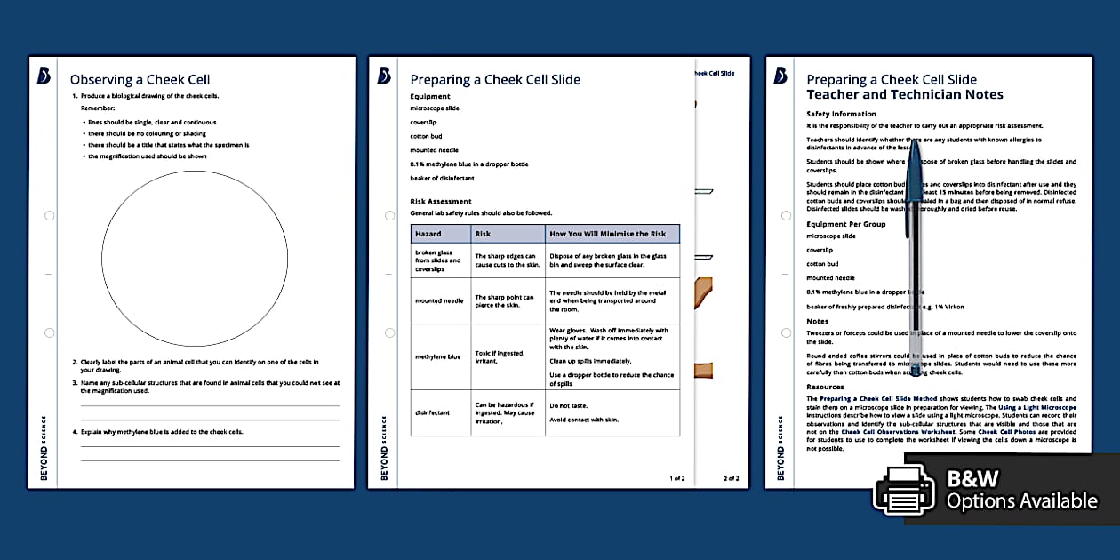 Cheek Cell Microscope Experiment - Junior Cert - Twinkl