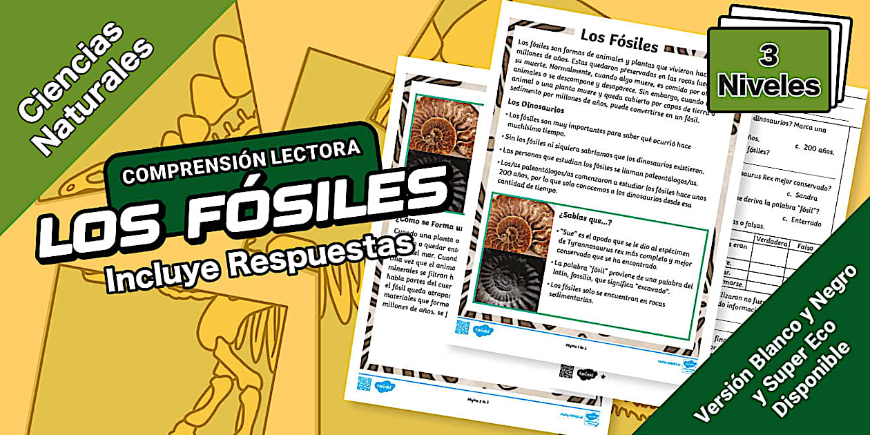 Comprensión | Lectura Diferenciada | Los Fósiles | Lenguaje