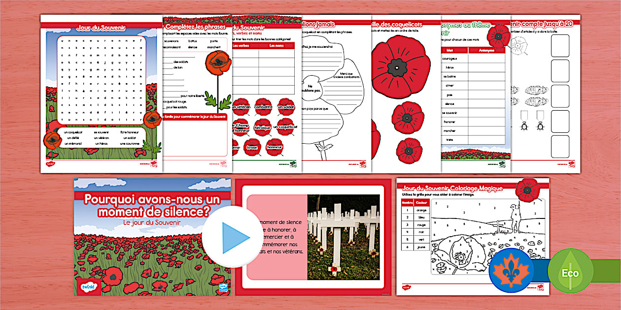 French Remembrance Day Vocabulary | Twinkl Resource - Twinkl