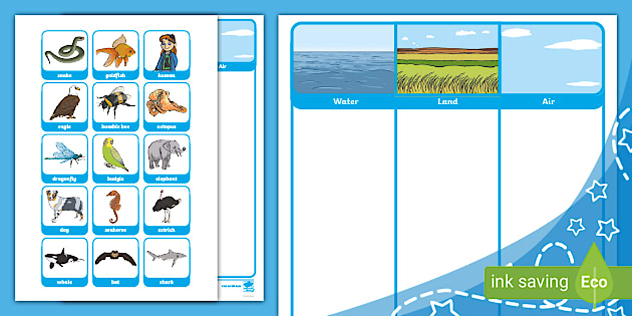 Where Do I Live? Animal Habitat Sorting Activity - Twinkl