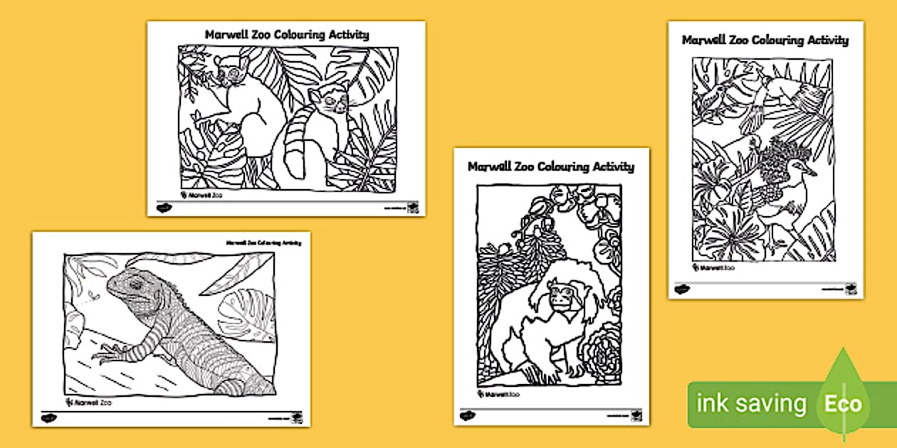 Marwell Zoo Colouring Activity | Primary Resources | Twinkl