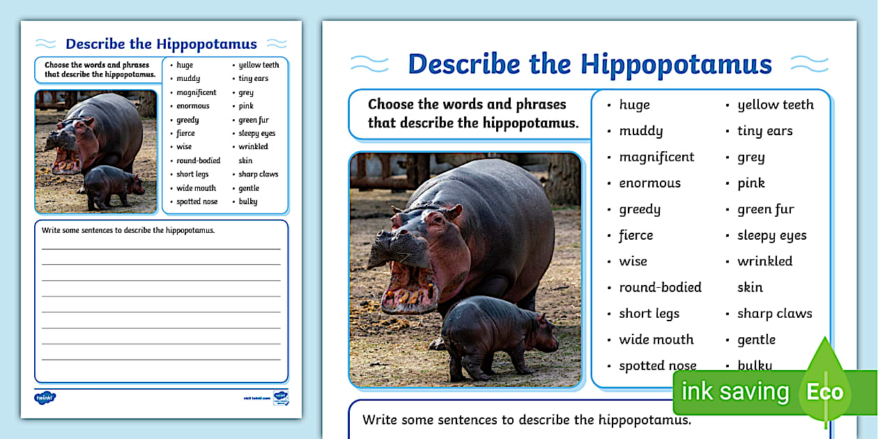 Describe the Hippopotamus Writing Worksheet,hippos