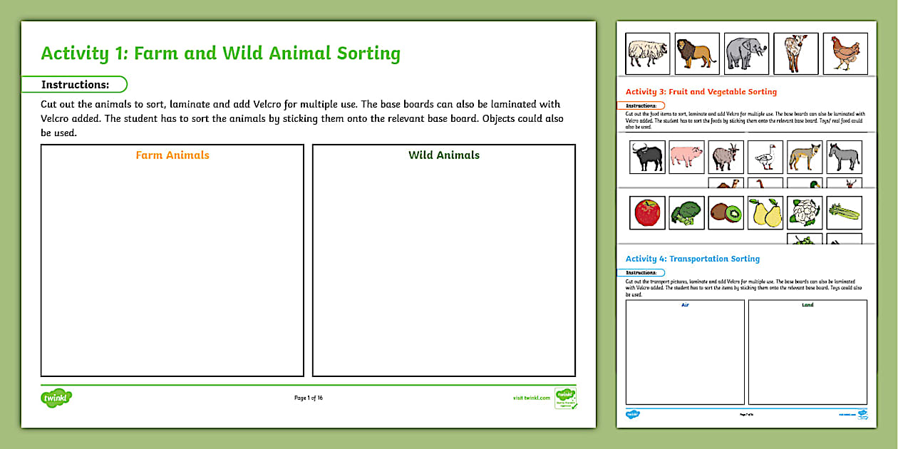 Sorting Activities (teacher made) - Twinkl