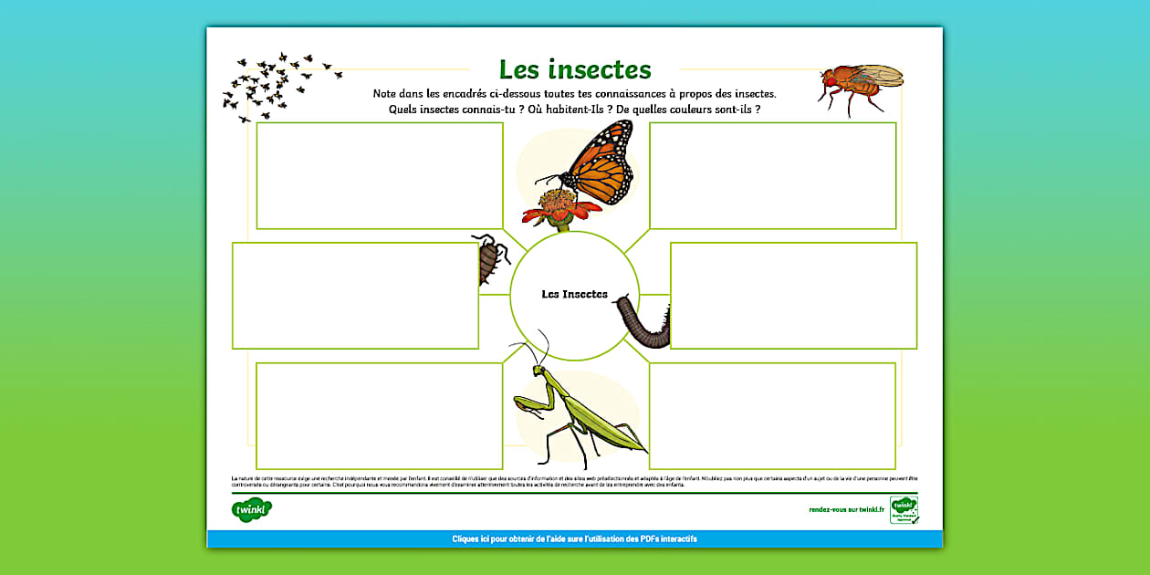 Carte mentale interactive : Les insectes - Twinkl