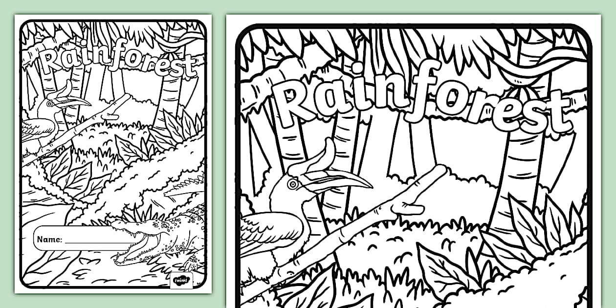 Rainforest Colouring Book Cover - KS1 - Twinkl
