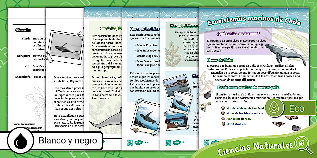 Ficha Informativa Ecosistemas marinos de Chile Diferenciada