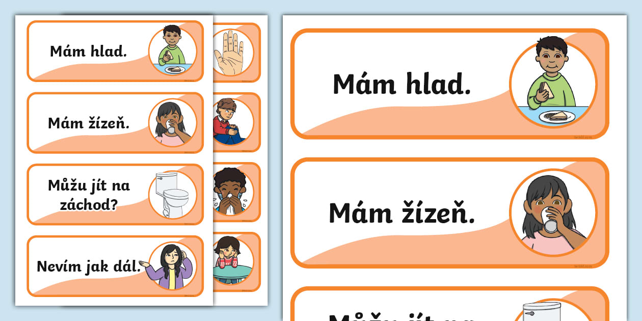 Essential EAL Survival Vocabulary Cards - Czech - Twinkl