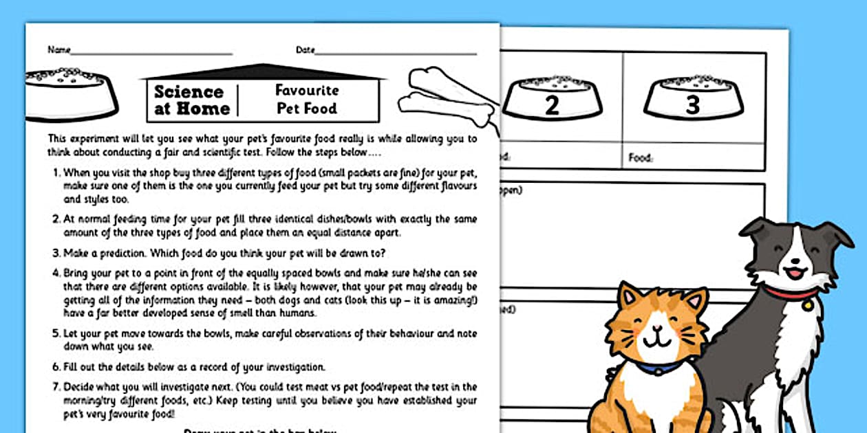 Favourite Pet Food Test Worksheet / Worksheet - Twinkl