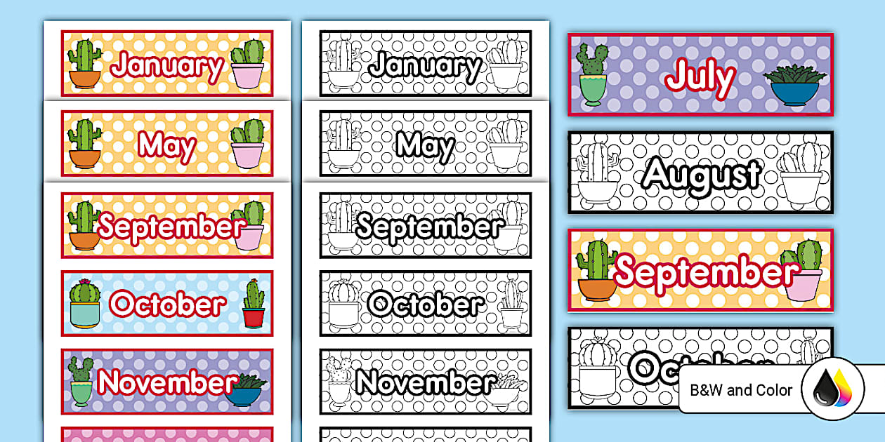 Succulent Months of the Year Bulletin Board Labels - Twinkl