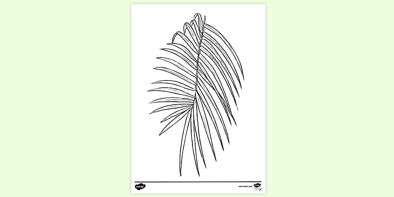 Palm Leaf Colouring Sheet | Twinkl Resources (teacher made)