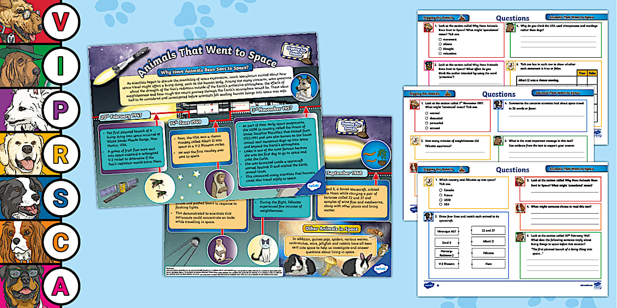 UKS2 Digging for Details: Animals in Space Infographic Comprehension ...